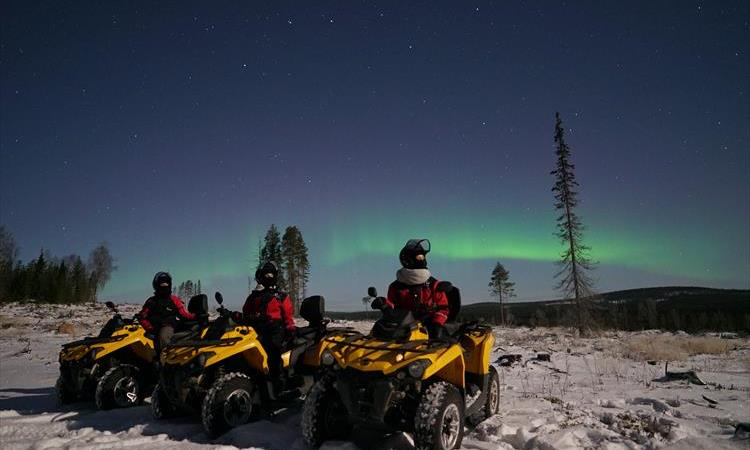 Delightful Quad Bike Ride With Northern Lights from A$286