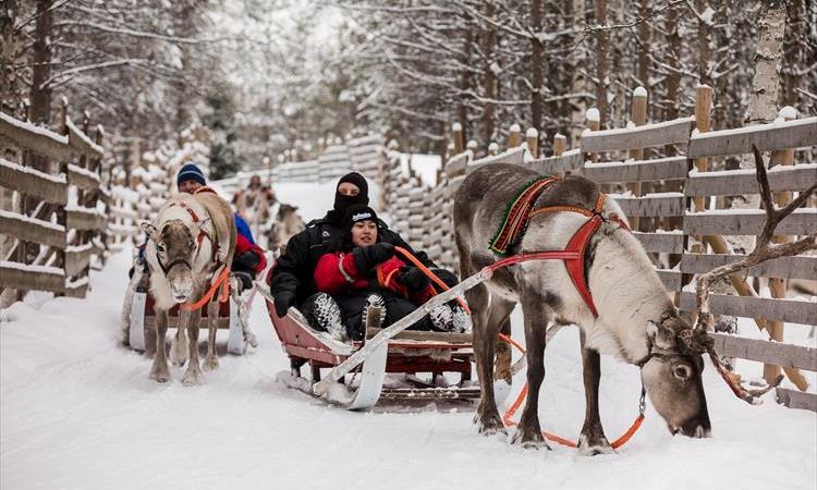 Snowmobile & Animals Day from A$419 | Travel with Exploriada