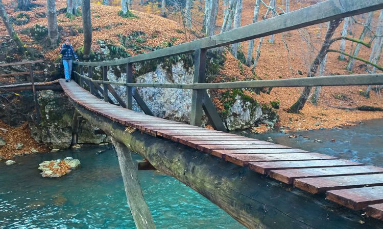 Day Trip In Varghis Gorge from A$219