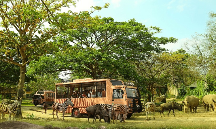 Bali Wildlife Safari Adventure from A$110