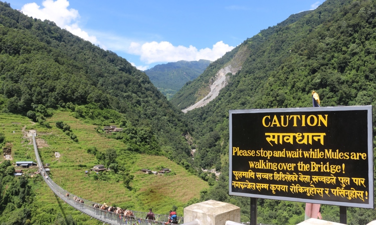 Annapurna Base Camp Trek from A$386 | Travel with Exploriada